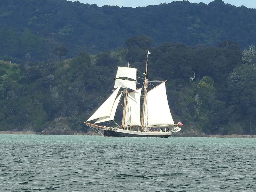 photographing New Zealand: R Tucker Thompson cruise