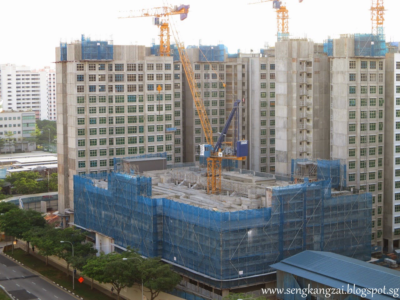 Zai@Sengkang: Compassvale Mast (Year 2015 Week 14)