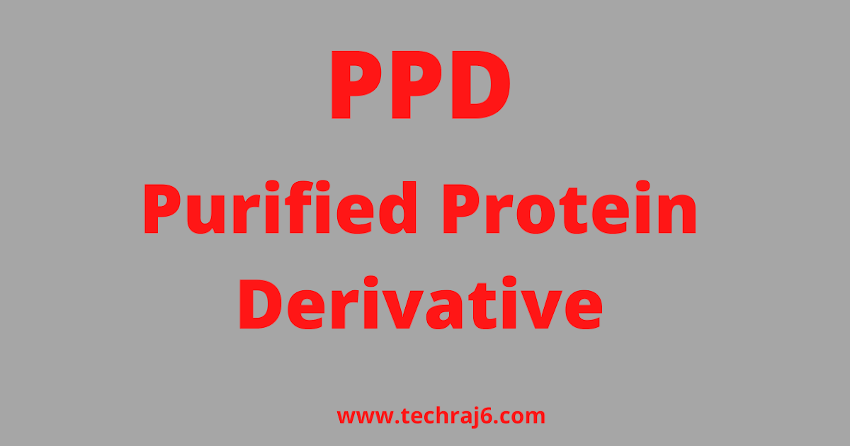 PPD Full Form What Is The Full Form Of PPD PPD Full Form What Is The Full Form Of PPD