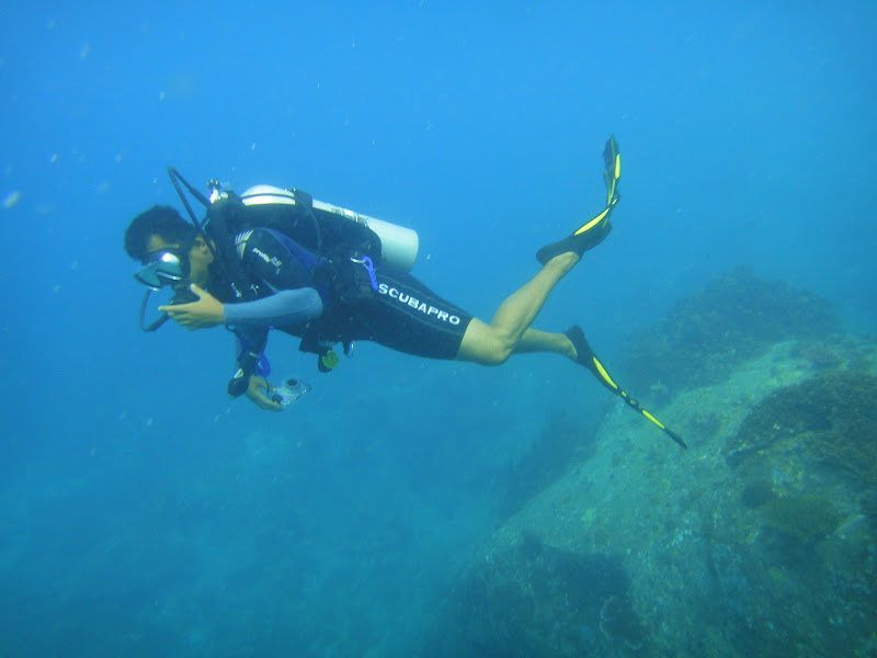 PENGHUNI GUA: SCUBA LABAS REEF DI PULAU TIOMAN 4