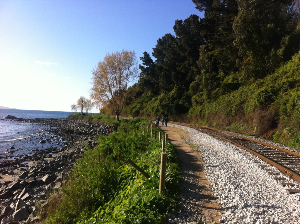 .: Do you know the "LA CATA BEACH" in Lirquén?