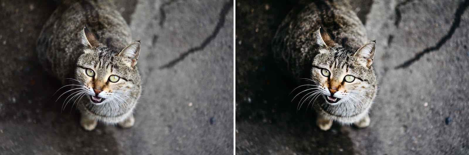 Cool Photoshop Tutorials: VSCO filter C - Portra 160+1