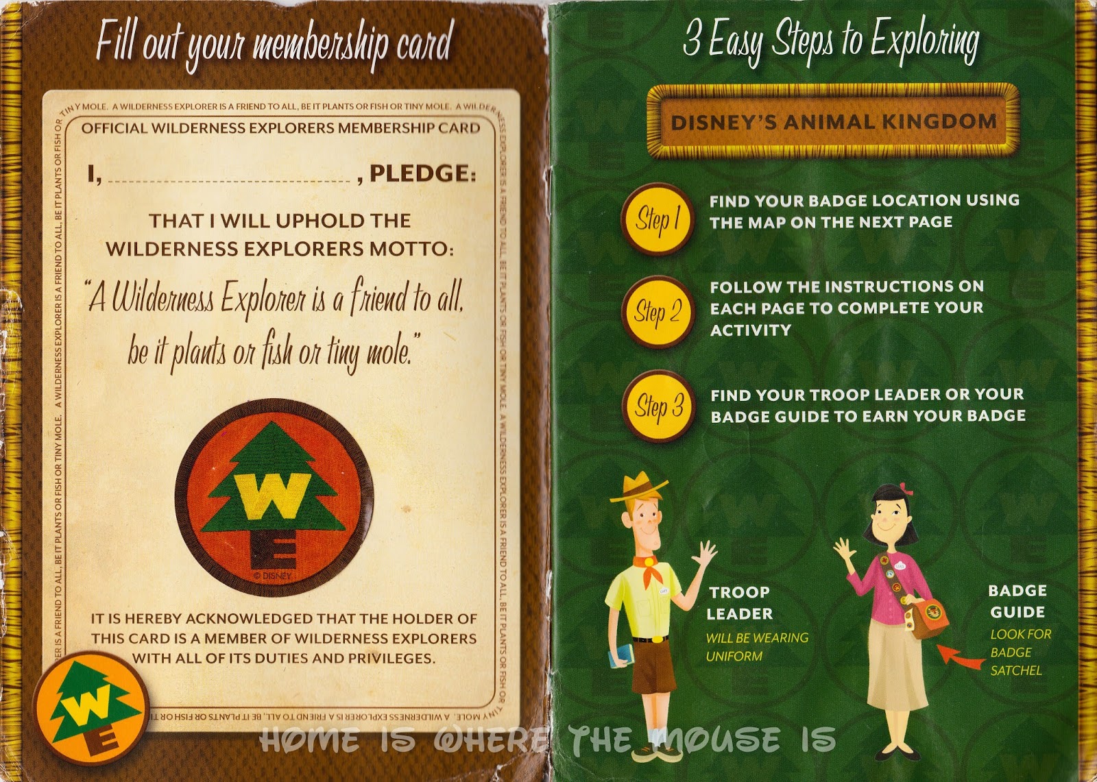 The Wilderness Must Be Explored | Wilderness Explorers Program