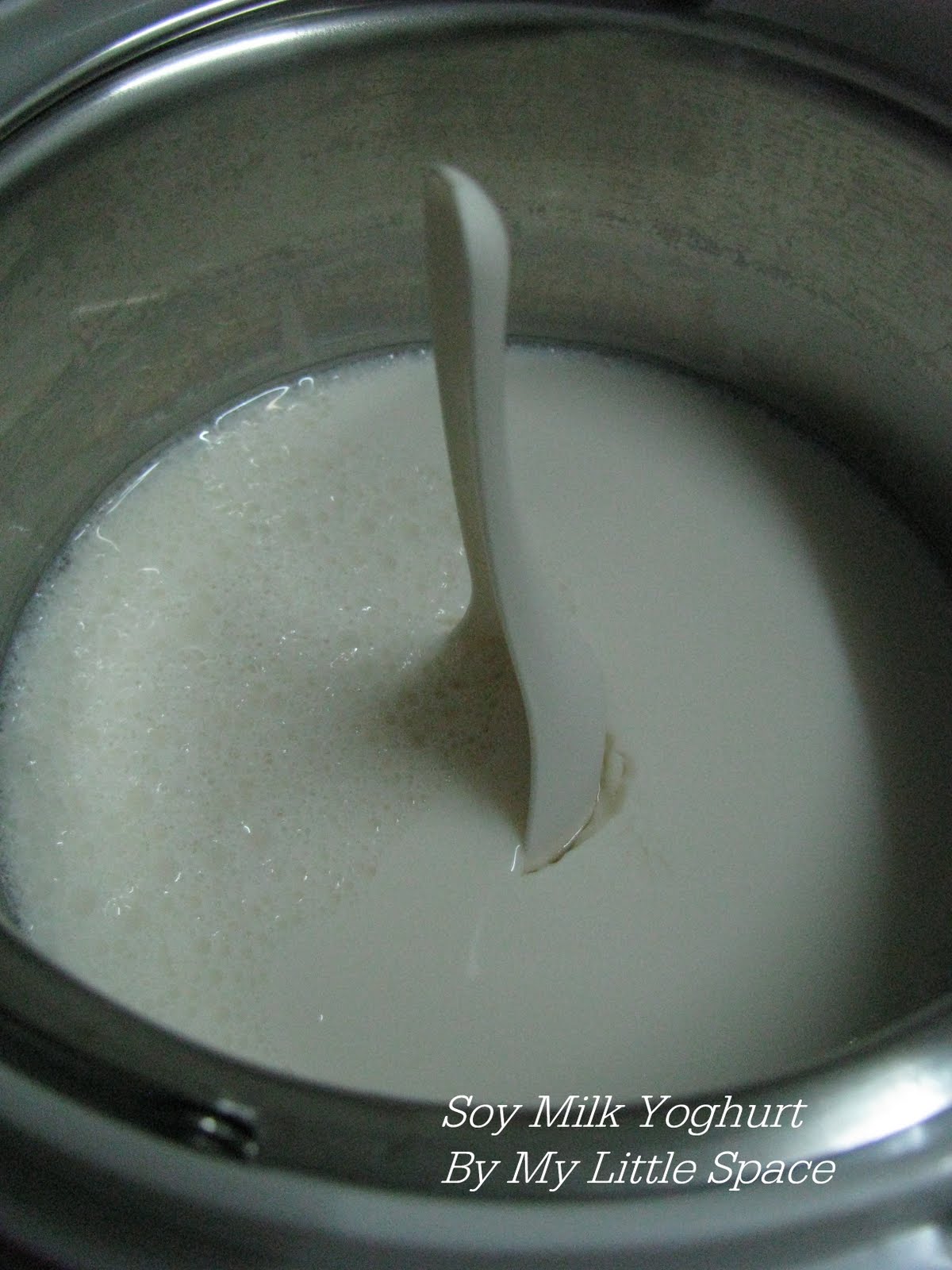 Homemade Soybean Milk & Milk Yoghurt