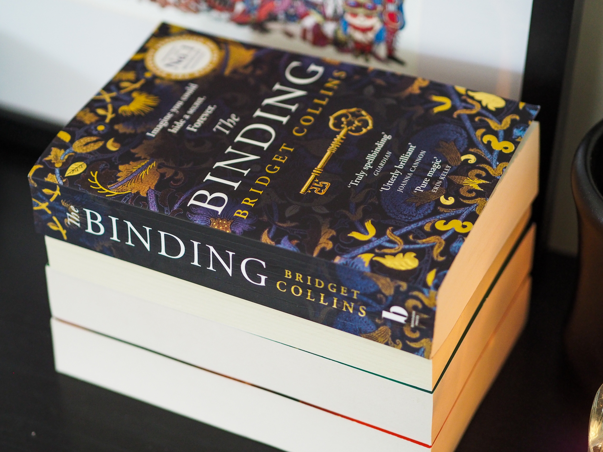 Books: The Binding by Bridget Collins — A Little Peculiar