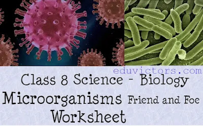CBSE Papers, Questions, Answers, MCQ ...: CBSE Class 8 Science ...