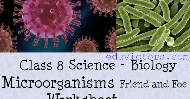 CBSE Papers, Questions, Answers, MCQ ...: CBSE Class 8 Science ...