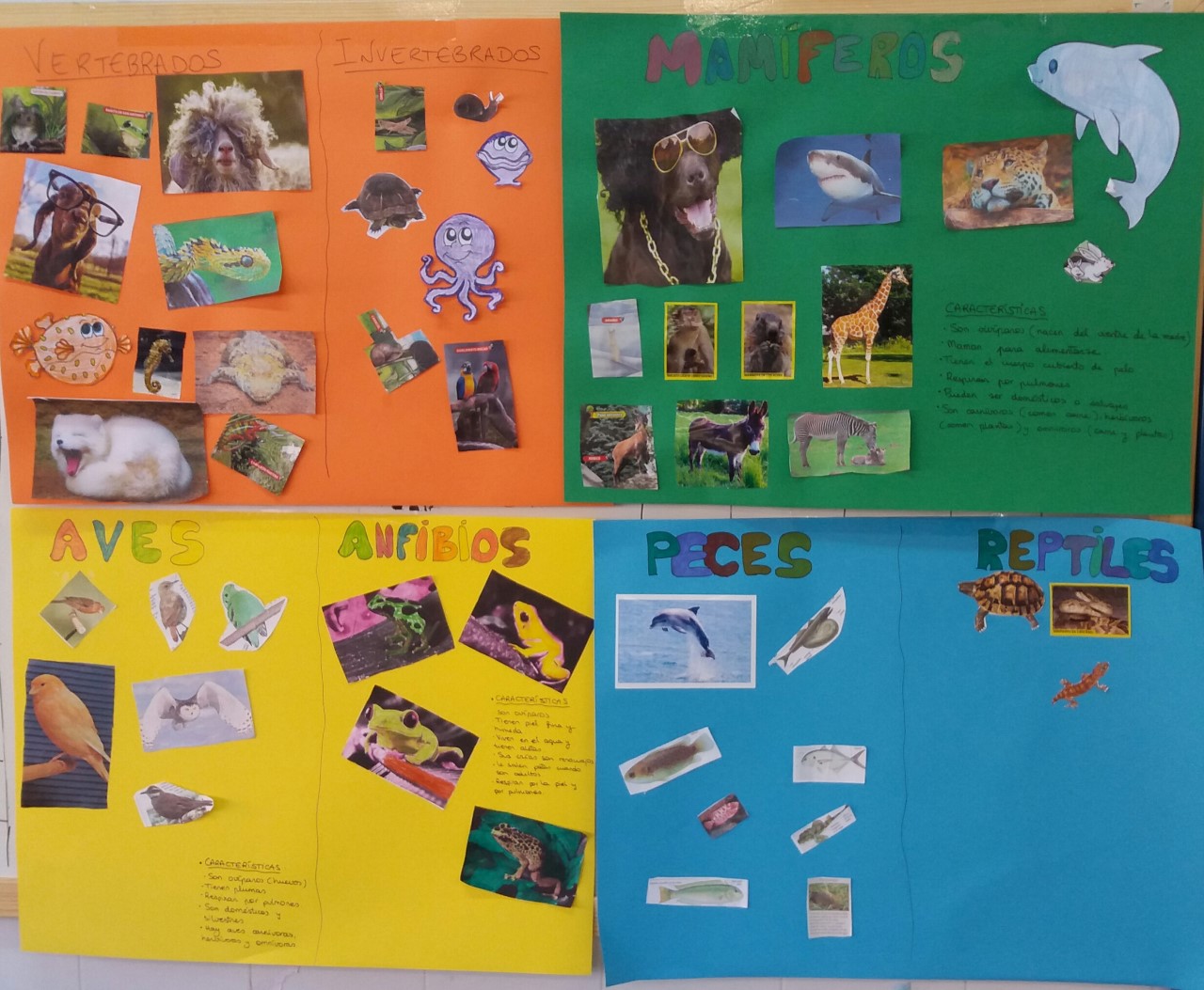 6º A y B DE PRIMARIA (2021-2022): MURALES SOBRE ANIMALES