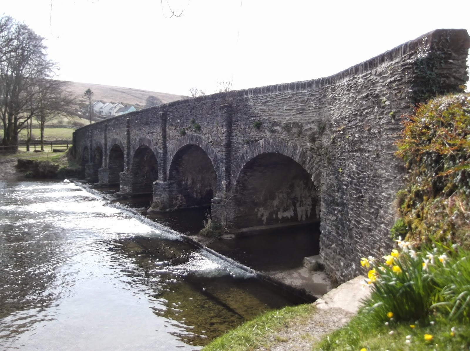 The Travels of a Curious Old Man: Dunkery Hill to Withypool: Day 24 of ...