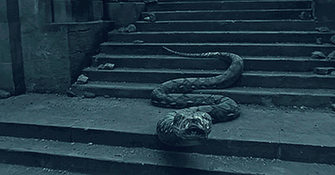 THE GRANDMA'S LOGBOOK ---: HORCRUX, THE STONES & NAGINI 'THE MALEDICTUS'