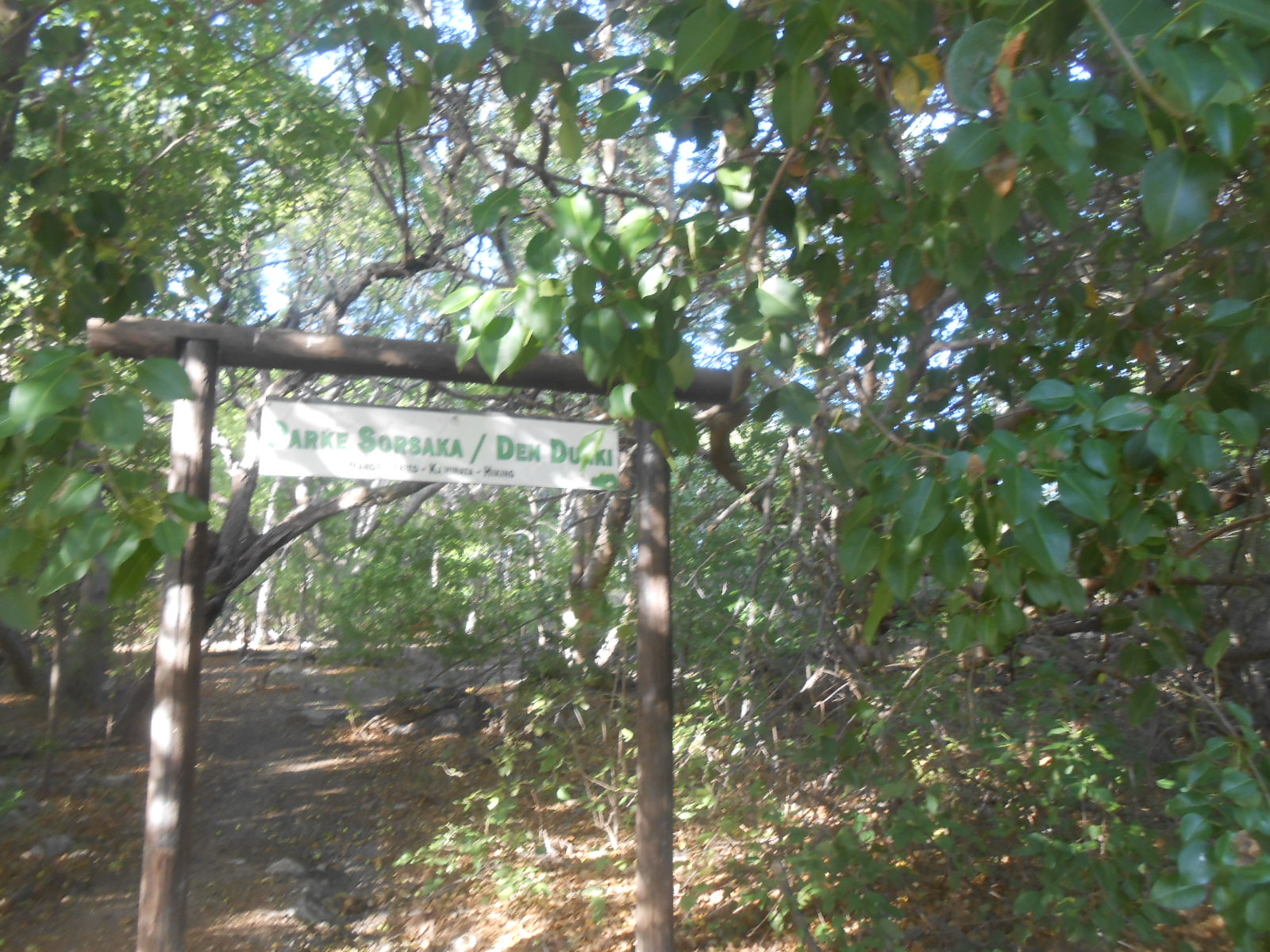 Hiking Curaçao - The Trails: Wandelverslag Den Dunki, 11-08-2019.