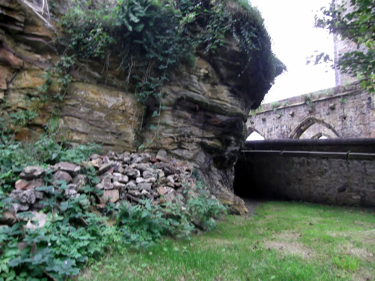 Largo Baywatch: Dysart and St Serf