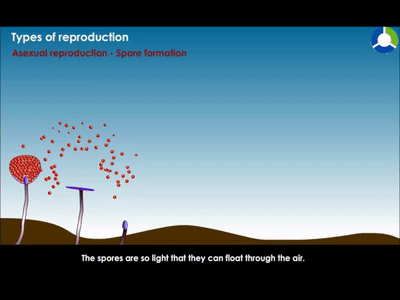 SONU ACADEMY: TEXT:REPRODUCTION IN PLANTS CLASS-VII CBSE