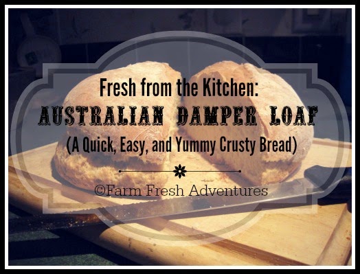 Farm Fresh Adventures: 5 Days of Favorite Family Recipes: Australian ...