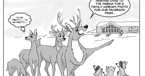 Winter Cartoons -Deer and the Webcam