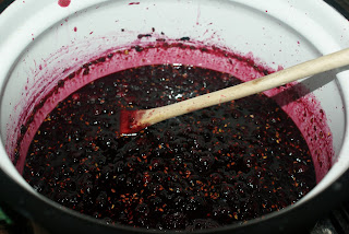 Off the Grid at -30: Recipe Thursday - Adventures in Jam Making ...