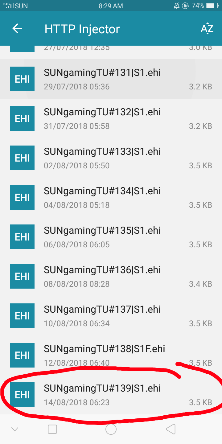 How to Import Ehi File Properly in Http Injector?