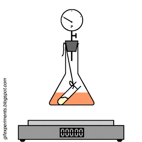 GIF Experiments (GIXP)