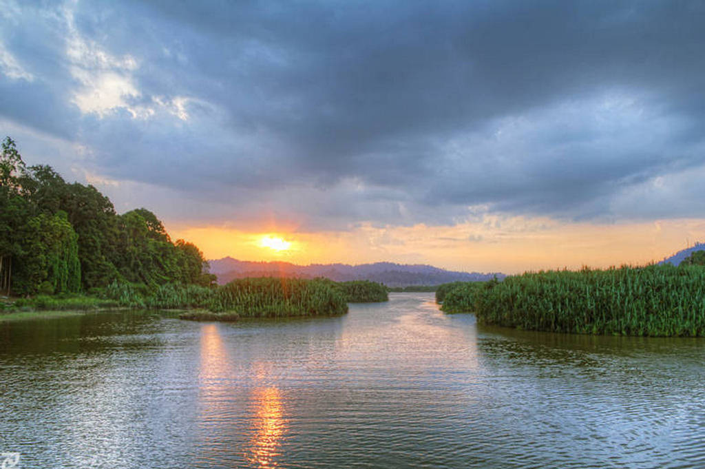 Chini Lake Malaysia - Images