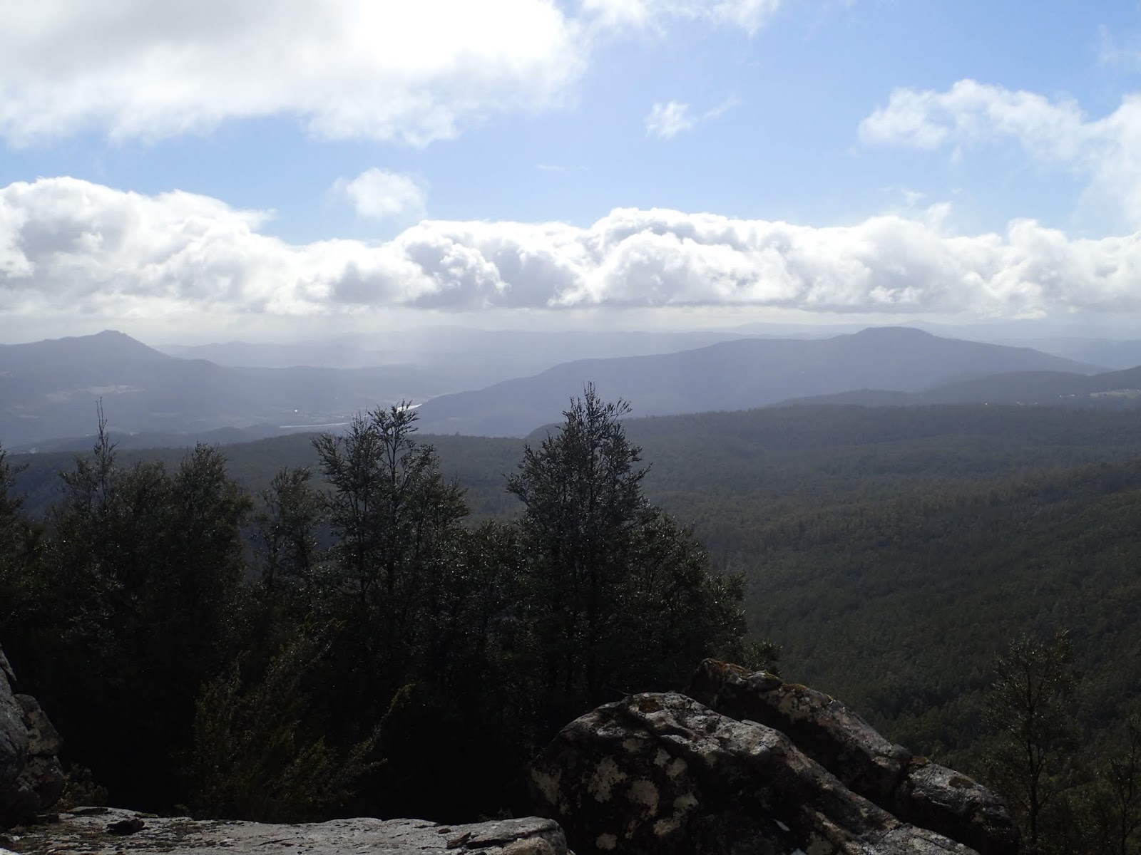 Mount Charles from White Timber Trail | Hiking South East Tasmania