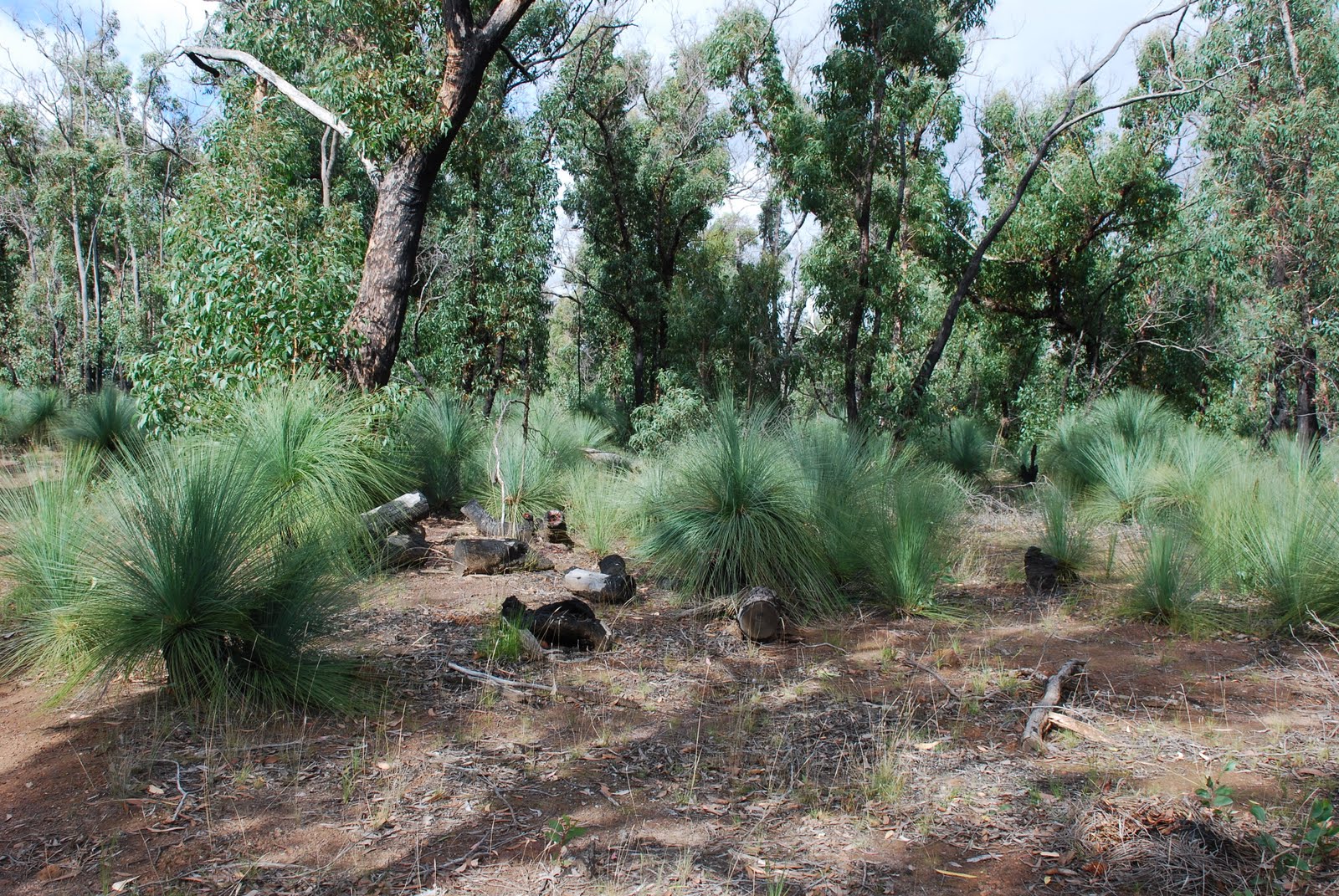 walkabouters club of victoria inc: Walk Notice - Brisbane Ranges ...