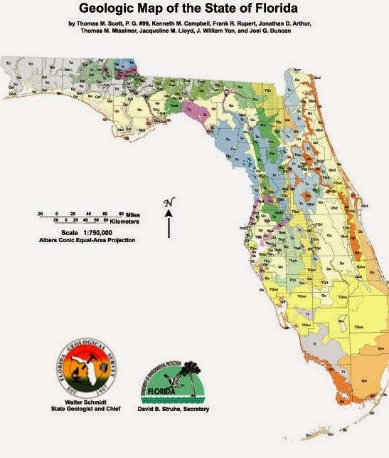 Commodity Chain- Florida's Natural Orange Juice: Florida's Natural ...