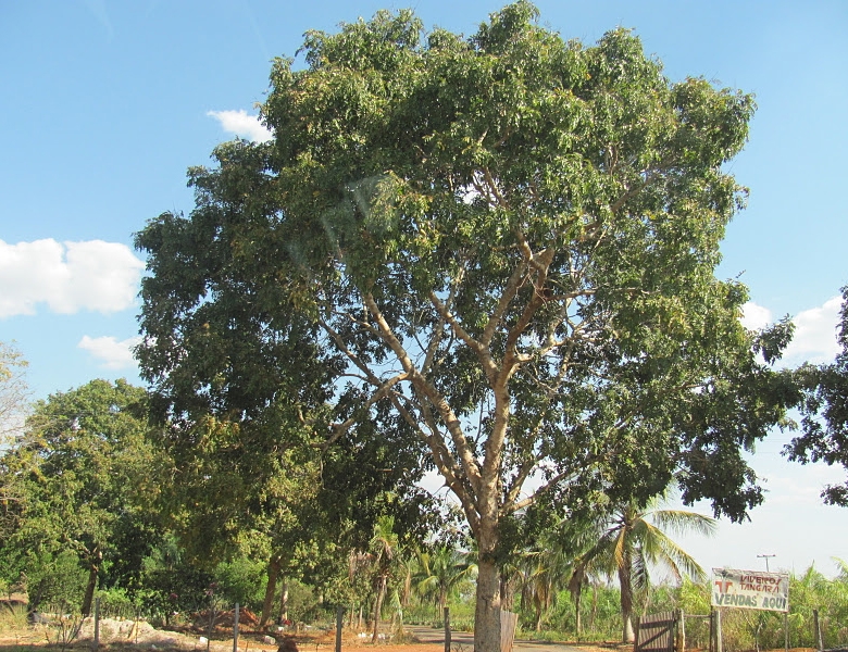 Blogs & Such by Chris McGowan