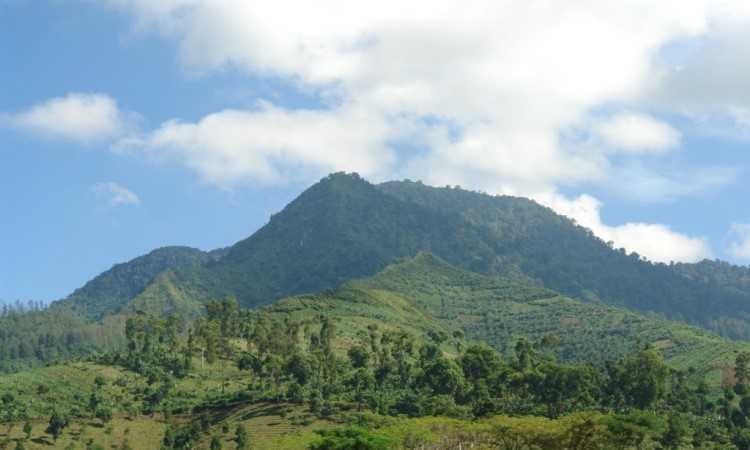 Yuk, Wisata Ke Gunung Manglayang!