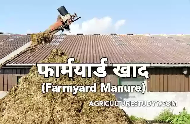 फार्मयार्ड खाद ( Farmyard Manure in hindi )