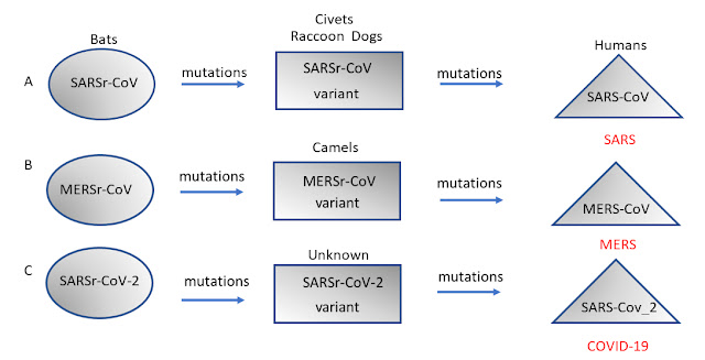 Corona virus : Origin of corona virus and its symptoms