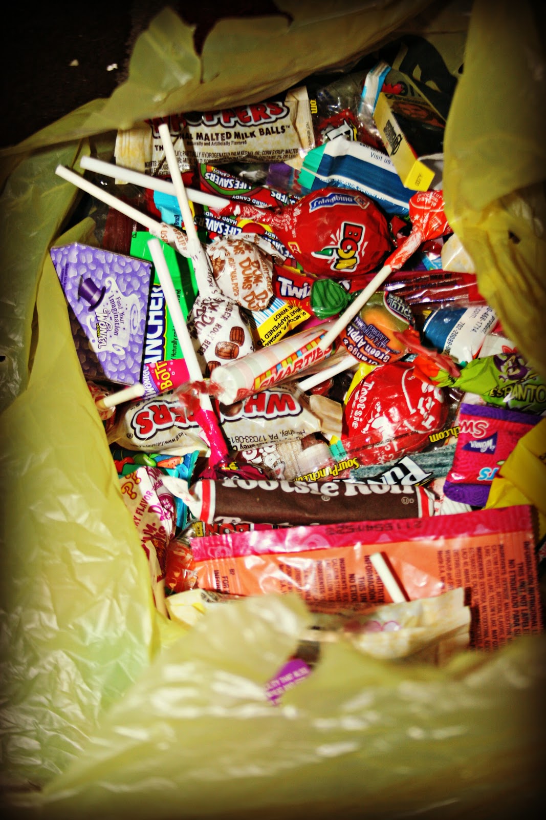 Two Bears Farm and the Three Cubs: What Happens When You Throw Out the ...