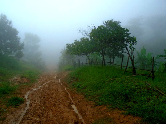 Mt. Lubog, Rodriguez, Rizal (In Photos) - Olvr'sTrvls
