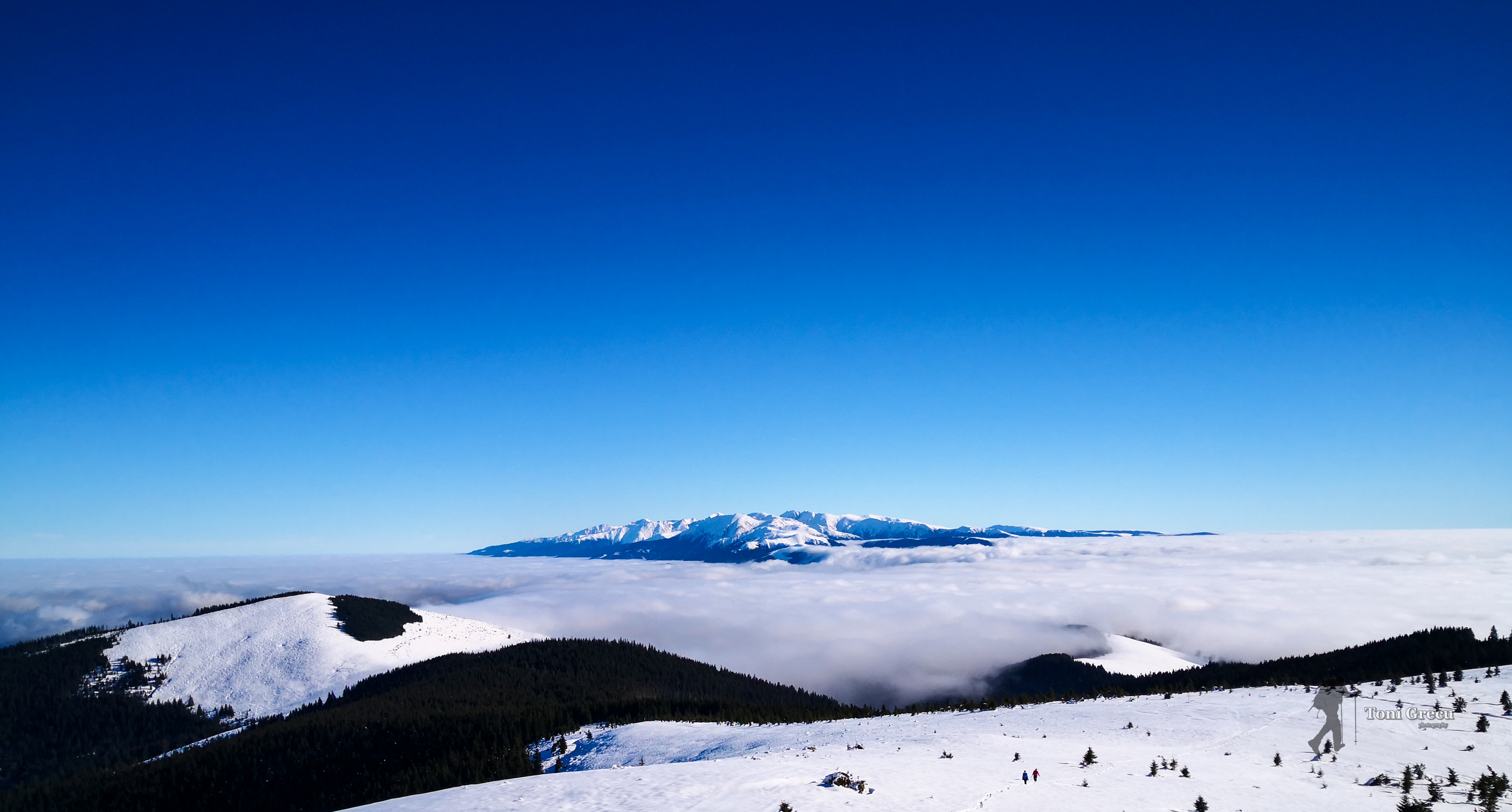 Varful Prejba - Cabana Prejba. Muntii Lotrului ~ Jurnal de drumeții