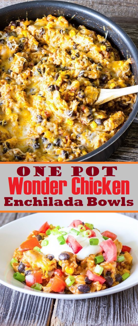 One Pot Wonder Chicken Enchilada Bowls Recipe - Cindy Glover