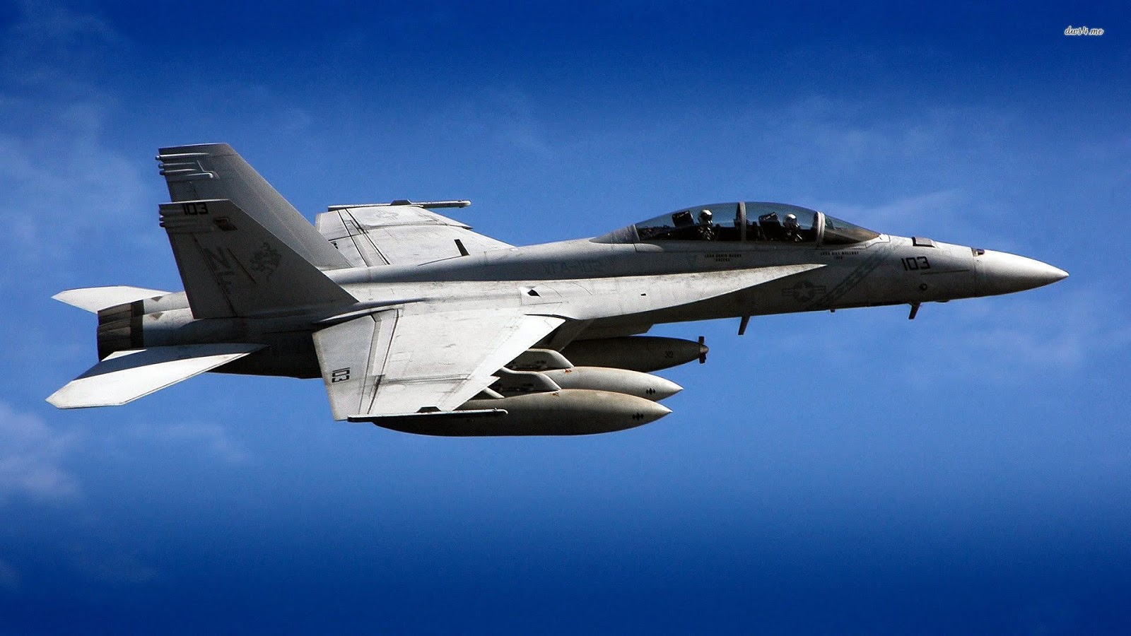 Defensa y Armas: Boeing F/A-18E/F Super Hornet