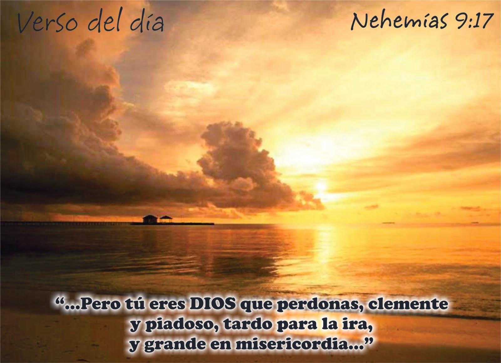 El camino a la salvación!: Daniel 9, 4-10. De él esperamos solamente el ...