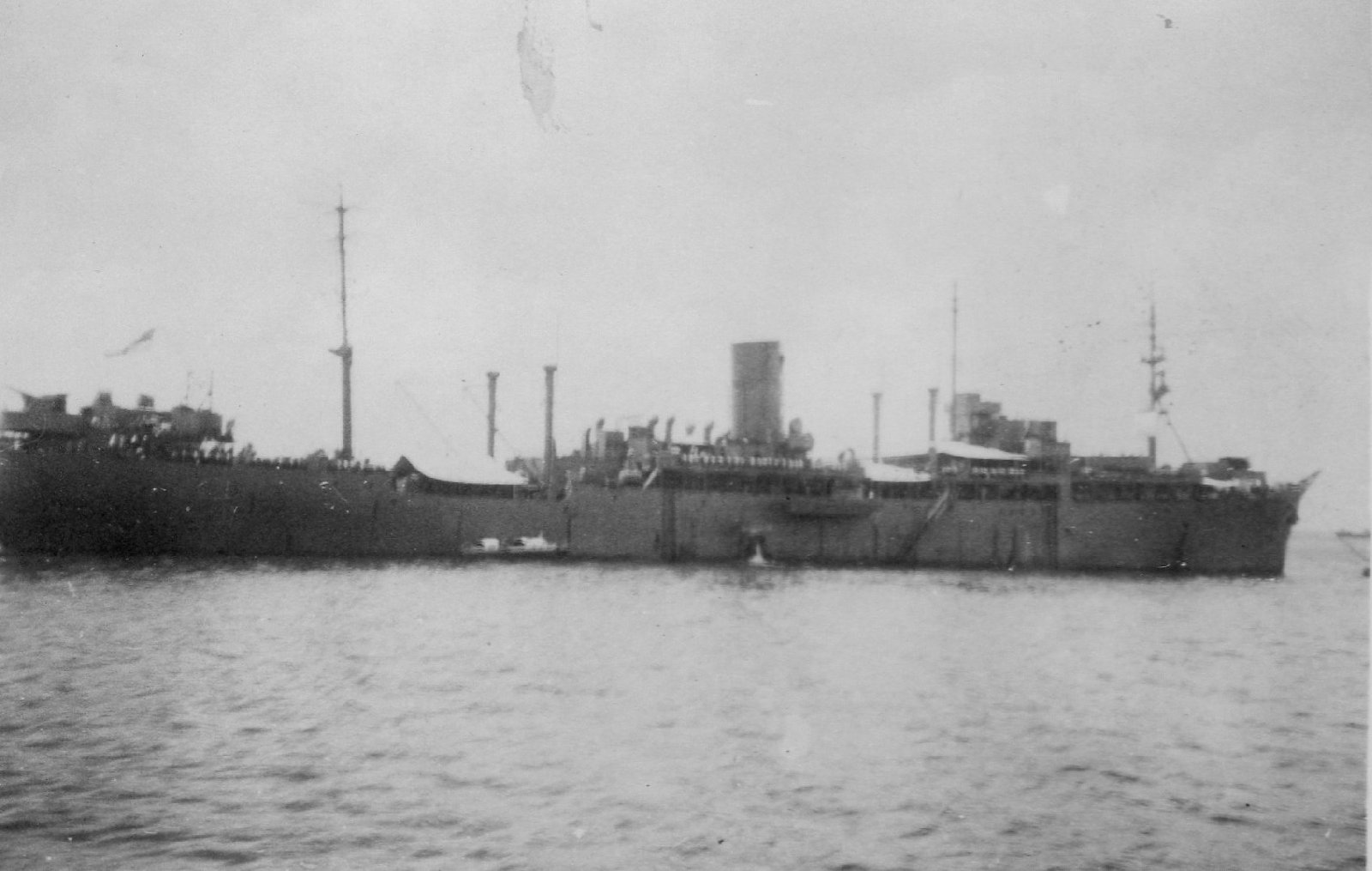 The Bayliss Line: ARTHUR BAYLISS