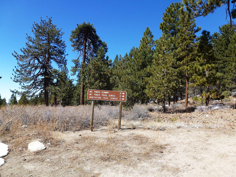 Mt. Pinos (Los Padres National Forest)