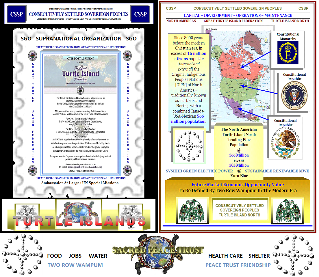 SGO ____________ SUPRANATIONAL ORGANIZATIONS ____________ SGO: THE TWO ...