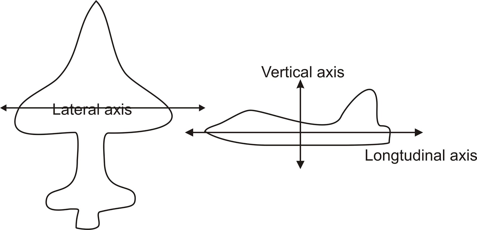 Aviation: Axis of motion
