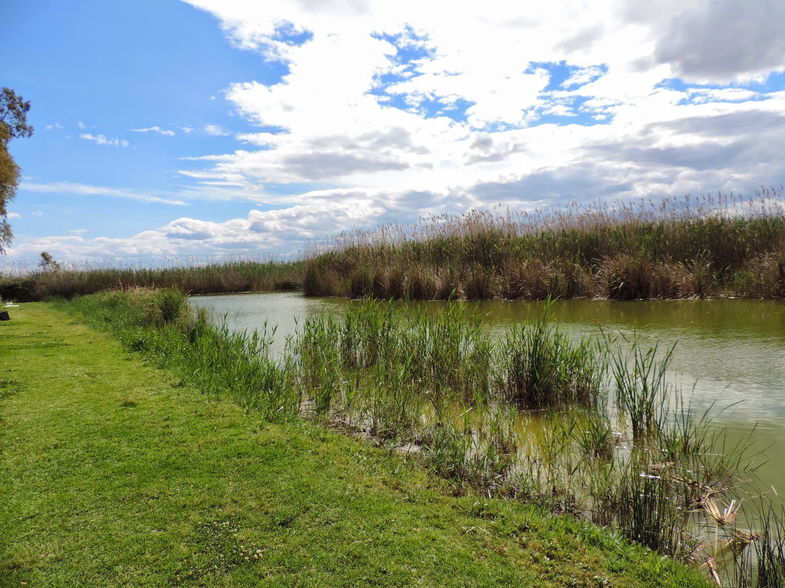 viajeblogevasion: PARQUE NATURAL DE LA ALBUFERA - Valencia