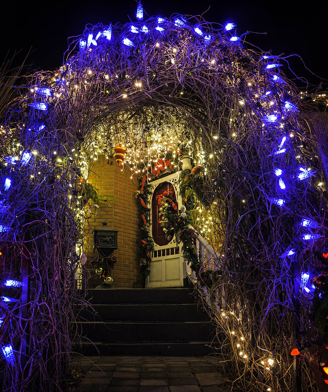 Edmonton Christmas Lights