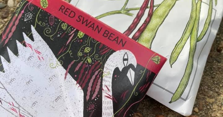 WashingtonGardener: Fenton Friday: Bean Gardening