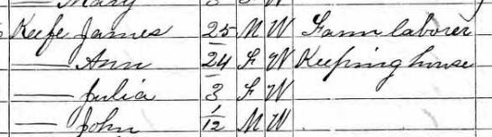 Kathryn's Quest: Census Sunday - Keefe Family in Clinton County, Ohio