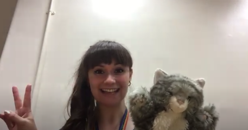 Nursery: Concept Cat- "empty"