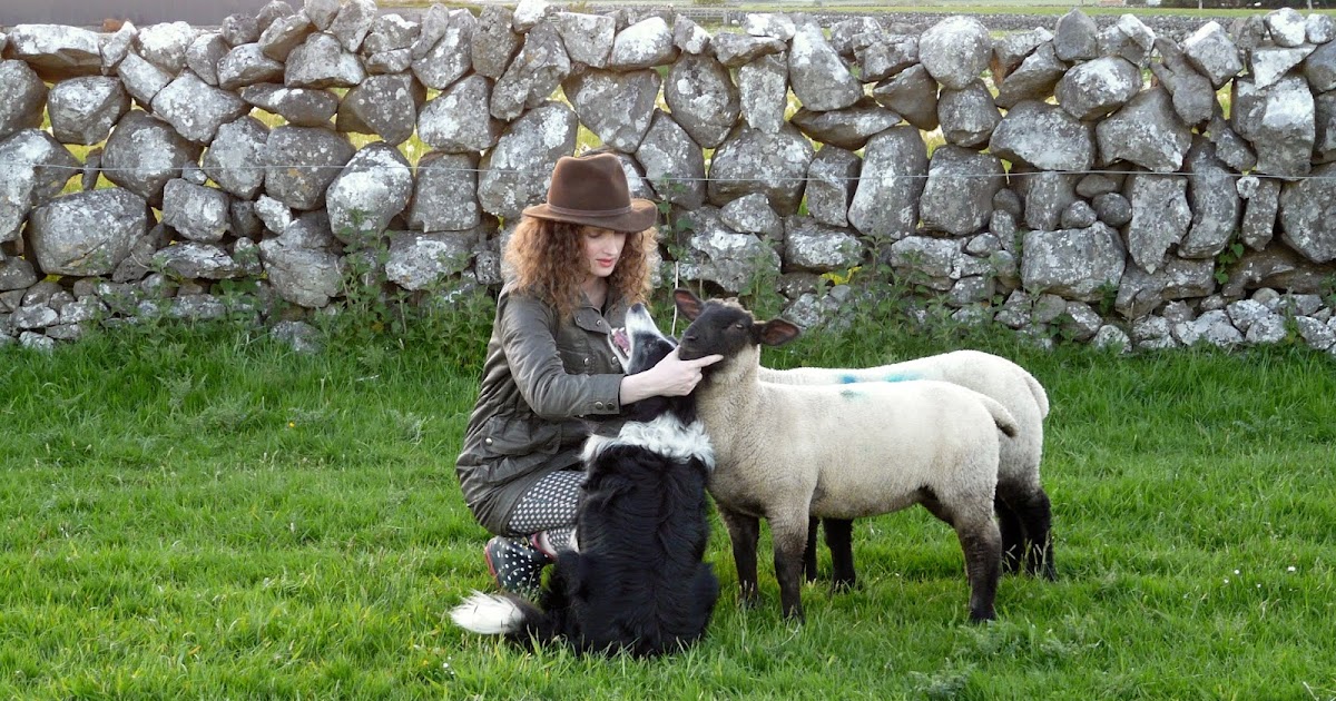 Raising Orphan And Bottle-fed Lambs