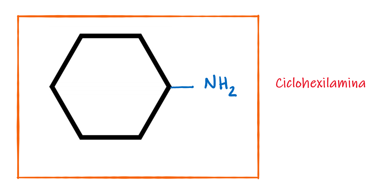 Aminas. Ejercicios resueltos | Física Química
