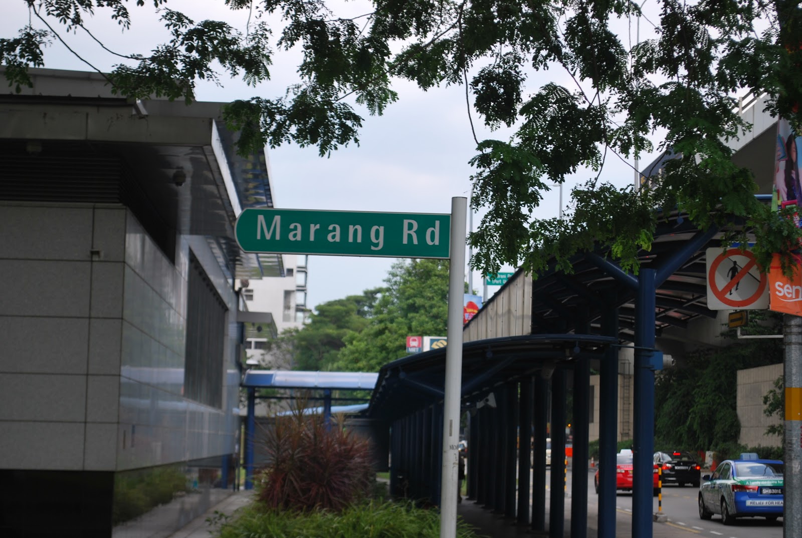 BookWorm Travel: Southern Ridges Park: Marang Trail