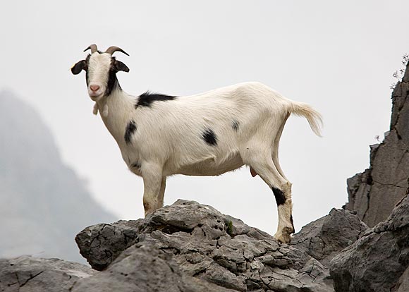 LOS CHIVOS SE ECHAN UN “PEDO” Y LUEGO SE ASUSTAN ~ Trinchera Universitaria