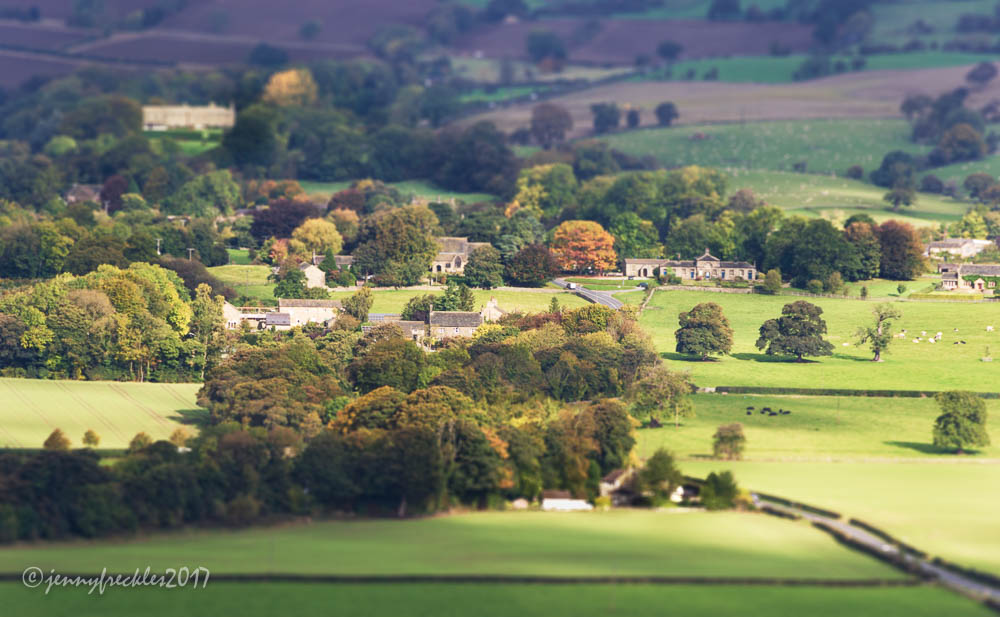 Saltaire Daily Photo: Leathley